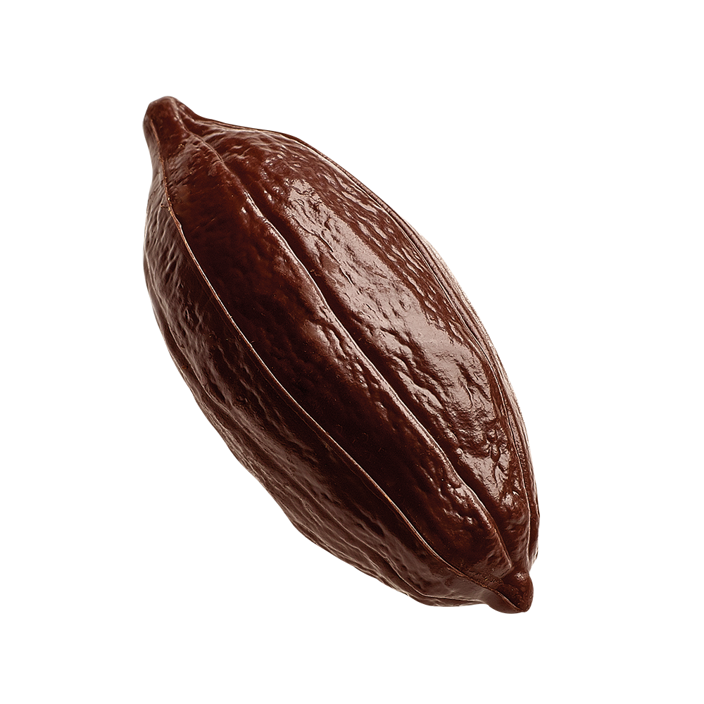 Criollo | Neuhaus Chocolates